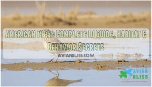 American Pipit: Complete ID Guide, Habitat & Behavior Secrets
