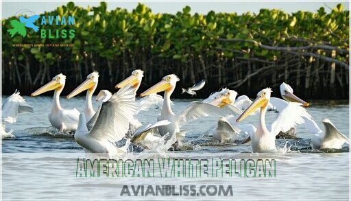 Amazing Bird Facts About Their Beaks: Shapes & Functions Revealed