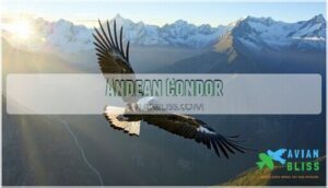 Largest Wingspan Bird: Top 10 Giants That Rule The Skies (2025)