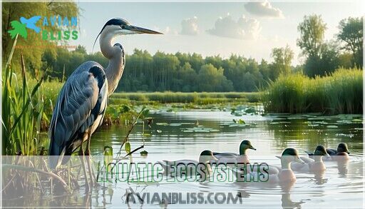 Water Bird Species Information: 2025 Guide to Aquatic Birds & Habitats