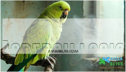 Parrot Health Issues Symptoms: Early Warning Signs Every Owner Needs