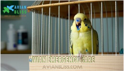 Avian Vet Care Basics: Expert Guide to Bird Health & Checkups