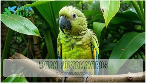 Parrot Health Issues Symptoms: Early Warning Signs Every Owner Needs