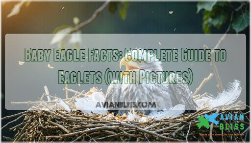 Baby Eagle Facts: Complete Guide to Eaglets (with Pictures)