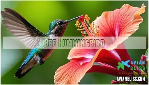 Smallest Birds in The World: 5 Tiny Species That Will Amaze You