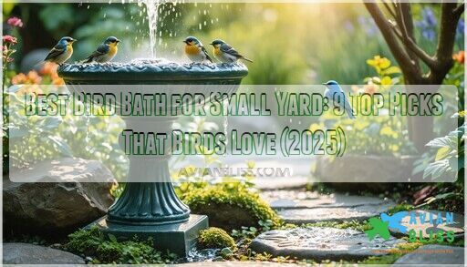 Best Bird Bath for Small Yard: 9 Top Picks That Birds Love (2025)