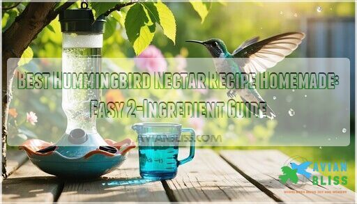 Best Hummingbird Nectar Recipe Homemade: Easy 2-Ingredient Guide