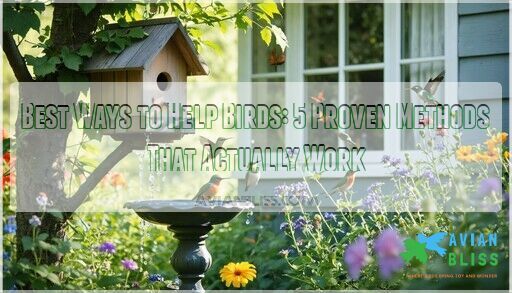 Best Ways to Help Birds: 5 Proven Methods That Actually Work