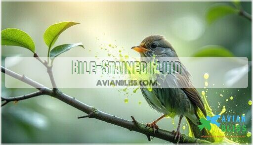 Bird Vomiting Regurgitation Symptoms: Quick Guide for Pet Owners