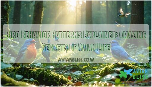 Bird Behavior Patterns Explained: Amazing Secrets of Avian Life