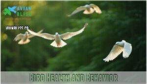 Bird Behavior Patterns Explained: Amazing Secrets of Avian Life