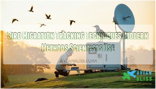 Bird Migration Tracking Techniques: Modern Methods Scientists Use