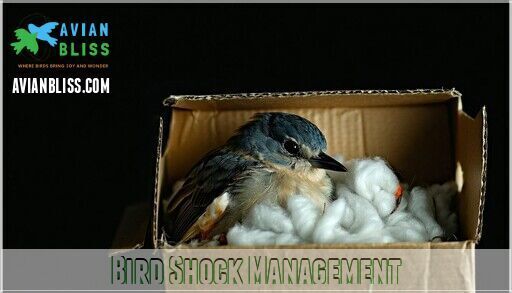 Rescuing a Bird From Cat: Life-Saving First Aid & Recovery Tips