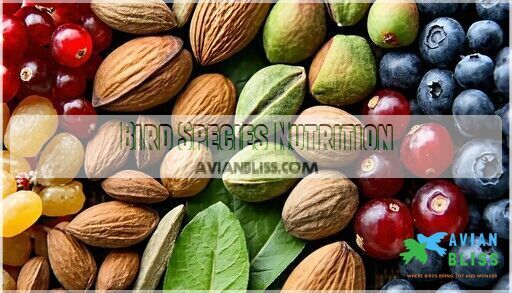 Bird Nutrition Food Guide: Complete Feeding Tips for Healthy Birds