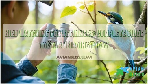 Bird Watching for Beginners: Complete Guide to Start Birding Today