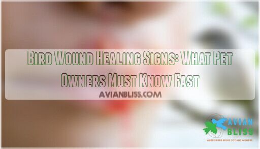 Bird Wound Healing Signs: What Pet Owners Must Know Fast