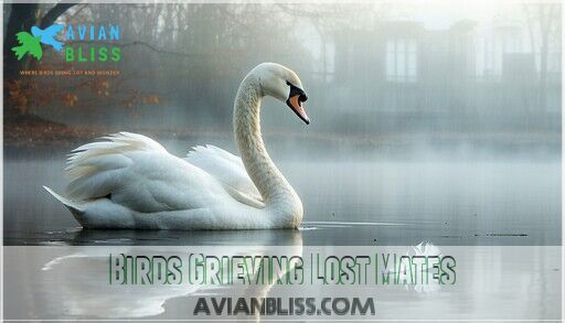 Birds That Mate for Life: Nature's Most Devoted Couples Revealed