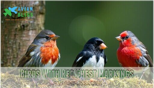 Birds With Red Chests: 10 Stunning Species You Need to See (ID Guide)