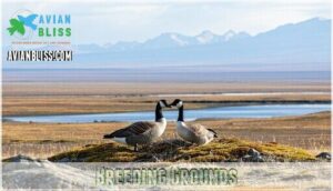 Snow Goose Facts: Migration, Habitat & ID Guide You Need to Know