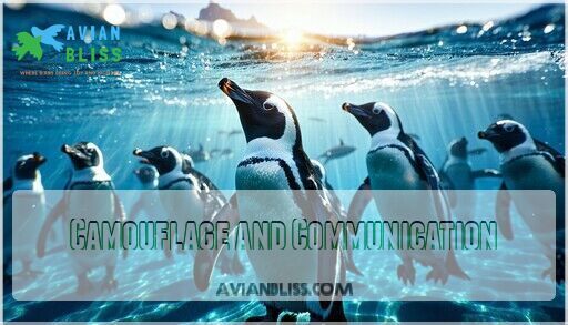 Why Do Penguins Have Feathers? The Amazing Survival Secret Revealed