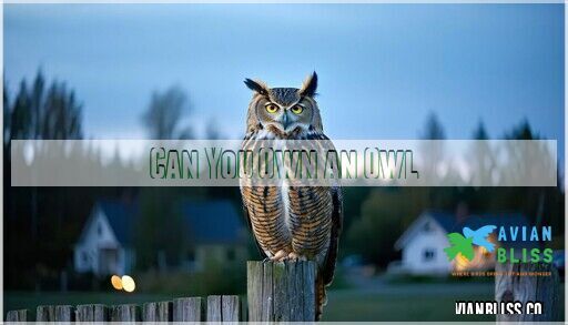 Can You Have an Owl as a Pet? Legal Facts & Restrictions 2025