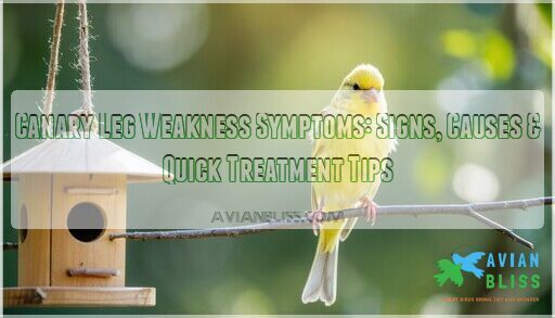 Canary Leg Weakness Symptoms: Signs, Causes & Quick Treatment Tips
