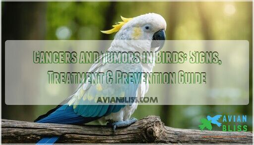 Cancers and Tumors in Birds: Signs, Treatment & Prevention Guide