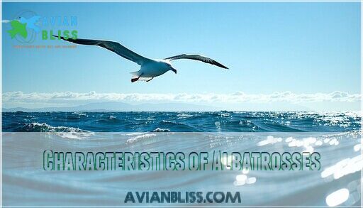 Largest Wingspan Bird: Top 10 Giants That Rule The Skies (2025)