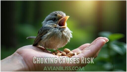 How to Help a Choking Bird: Emergency Steps That Save Lives