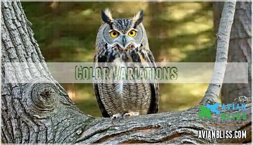 Western Screech Owl: Complete Guide to Behavior, Habitat & Diet