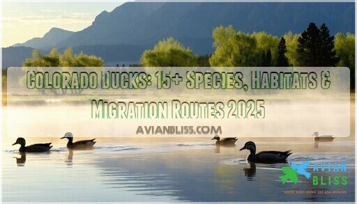 Colorado Ducks: 15+ Species, Habitats & Migration Routes 2025