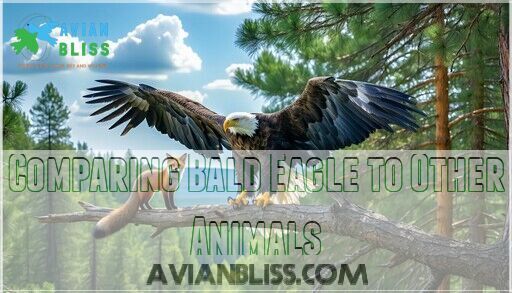 What is Bald Eagle Size? Amazing Facts & Wingspan Measurements