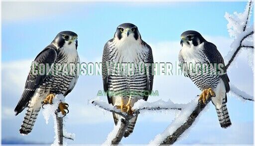 Gyrfalcon: World's Largest Falcon - ID, Habitat & Arctic Hunting Facts