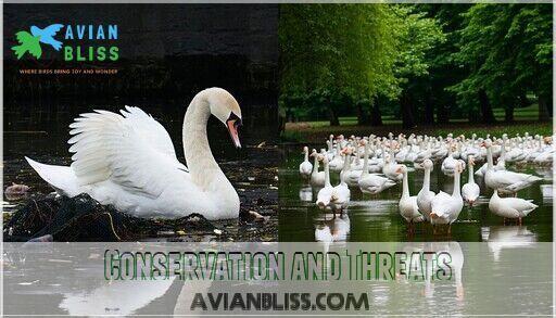 Field Sparrow Guide: ID Tips, Habitat & Behavior Secrets Revealed