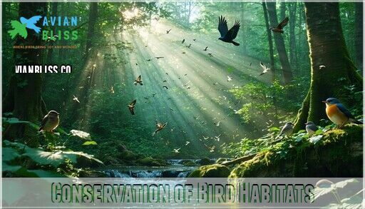 Types of Birds and Their Habitats: Complete Guide to Diverse Species