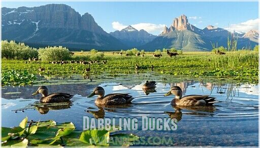 Colorado Ducks: 15+ Species, Habitats & Migration Routes 2025