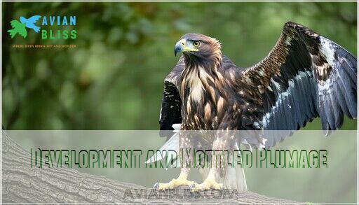 Baby Eagle Facts: Complete Guide to Eaglets (with Pictures)
