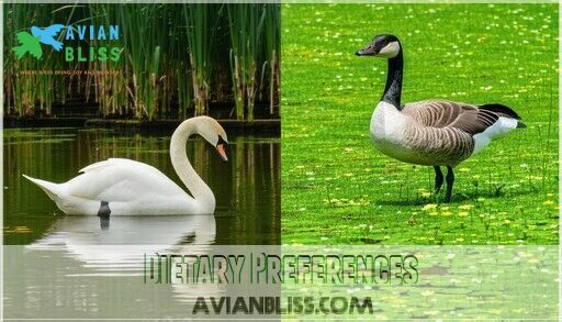 Swan Vs Goose: 7 Key Differences You Need to Know (Body, Behavior & More)