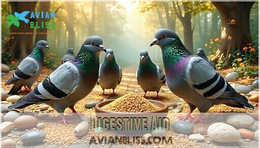 What Do Pigeons Eat? Complete Diet Guide for Wild & Pet Birds