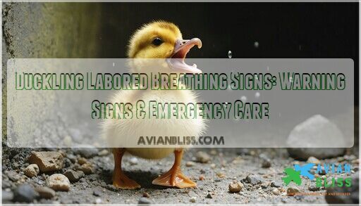 Duckling Labored Breathing Signs: Warning Signs & Emergency Care