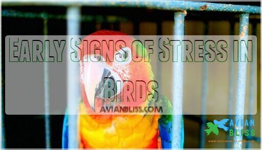 Signs of Stressed Birds Behaviors: 7 Warning Signs You Can't Ignore