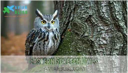 Owls in Wisconsin: 11 Species You Can See (With Pictures)