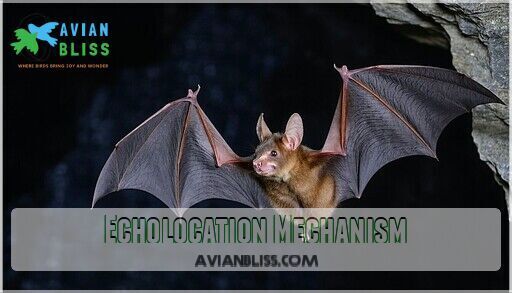 Is The Bat an Animal or a Bird? The Shocking Truth About Flying Mammals