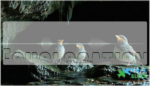 Types of Bird Songs and Calls: Complete Guide to Avian Sounds