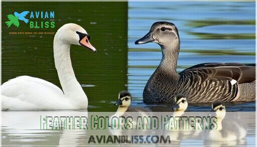 Swan Vs Goose: 7 Key Differences You Need to Know (Body, Behavior & More)