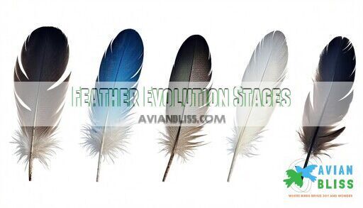 Types of Bird Feathers: 6 Amazing Types & Their Functions (2025)