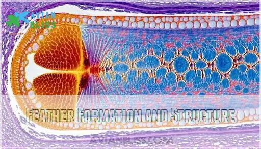 Bird Feathers: Complete Guide to Structure, Types & Care Secrets