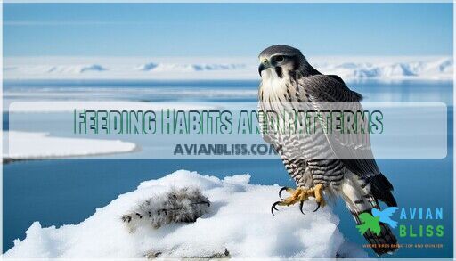 Gyrfalcon: World's Largest Falcon - ID, Habitat & Arctic Hunting Facts