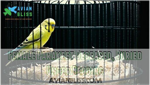 Why is My Male Parakeet Attacking My Female? Causes & Solutions