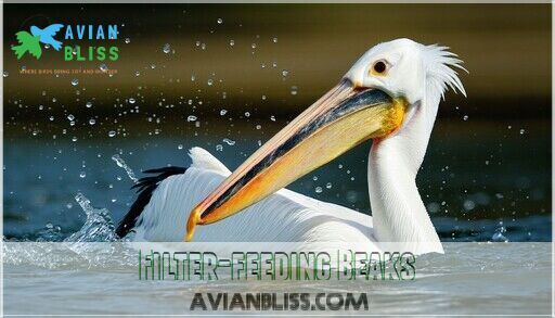 Amazing Bird Facts About Their Beaks: Shapes & Functions Revealed